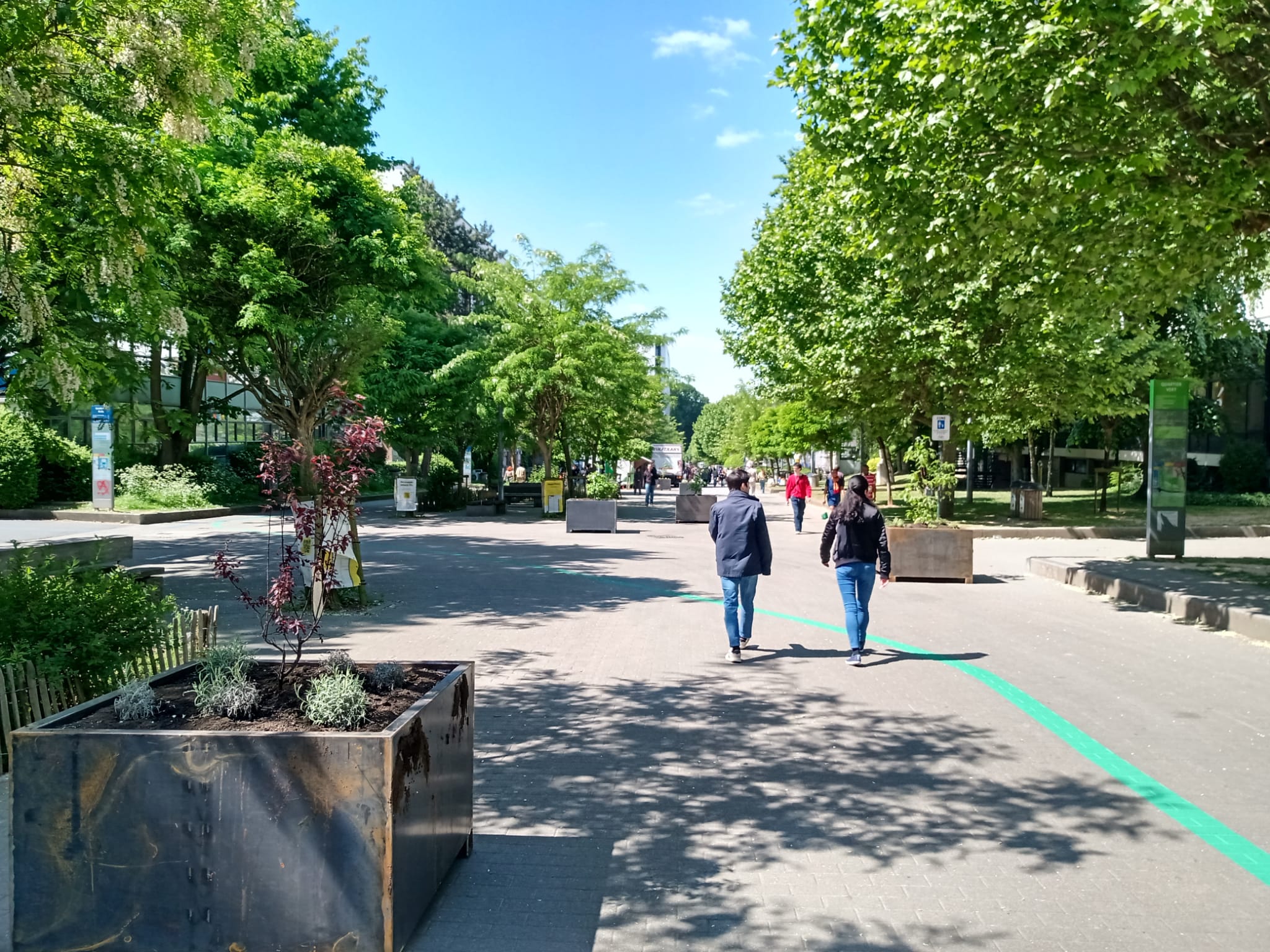 Nouveau plan de circulation au campus du Solbosch - Actualités de l'ULB